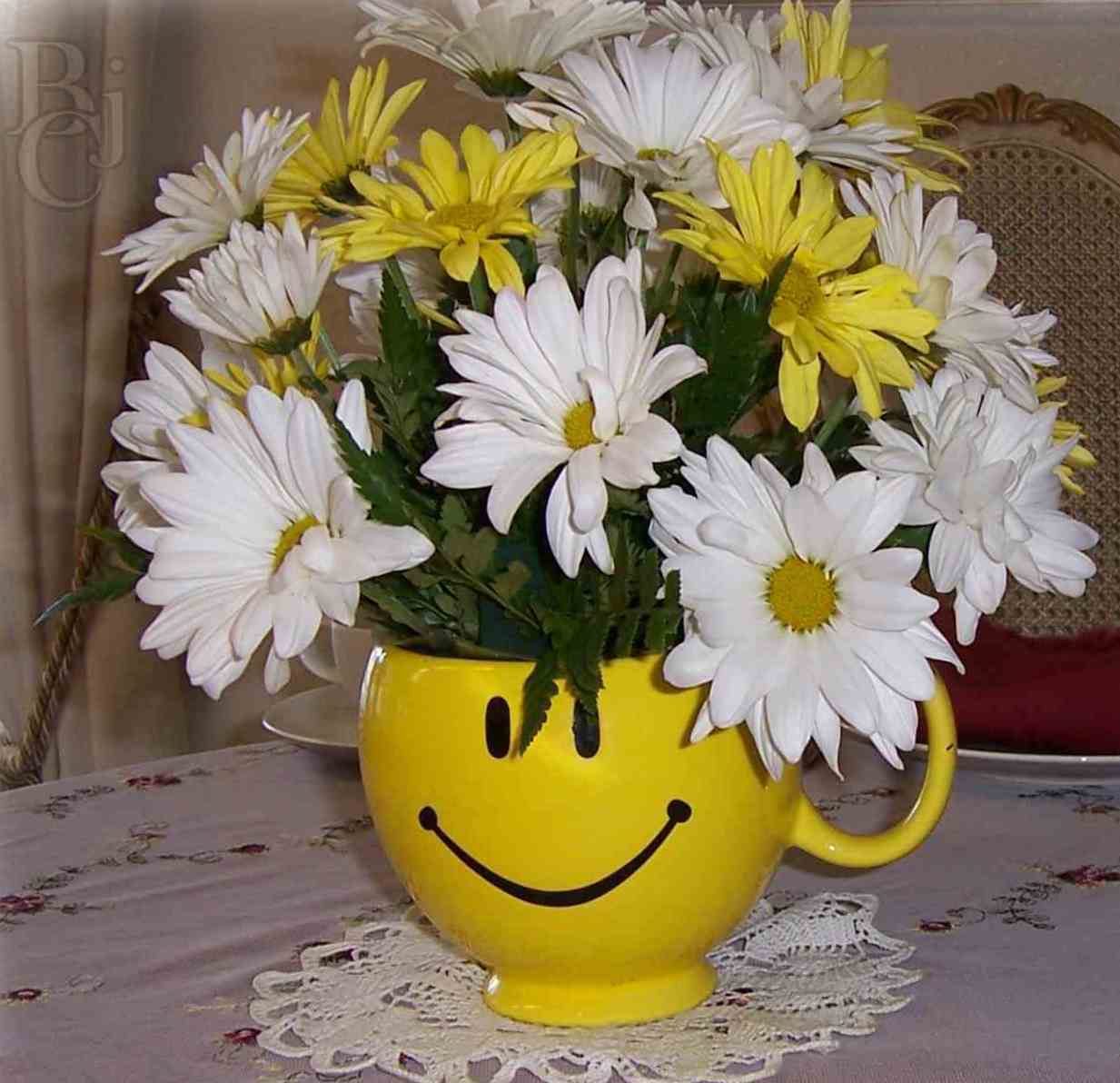 Yellow Afternoon Tea Party - Bluejean Corner